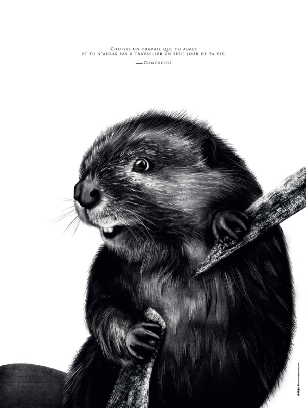 Affiche Le Castor - Le travail - citation de Confucius