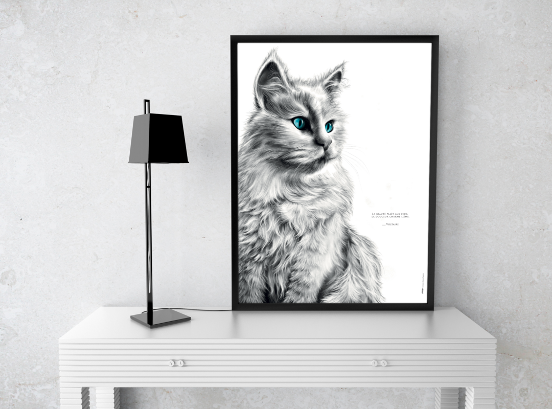 Affiche : dessin de chat blanc illustrant une citation de Voltaire