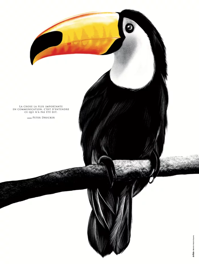 Affiche Toucan - dessin d'un toucan et citation sur la communication